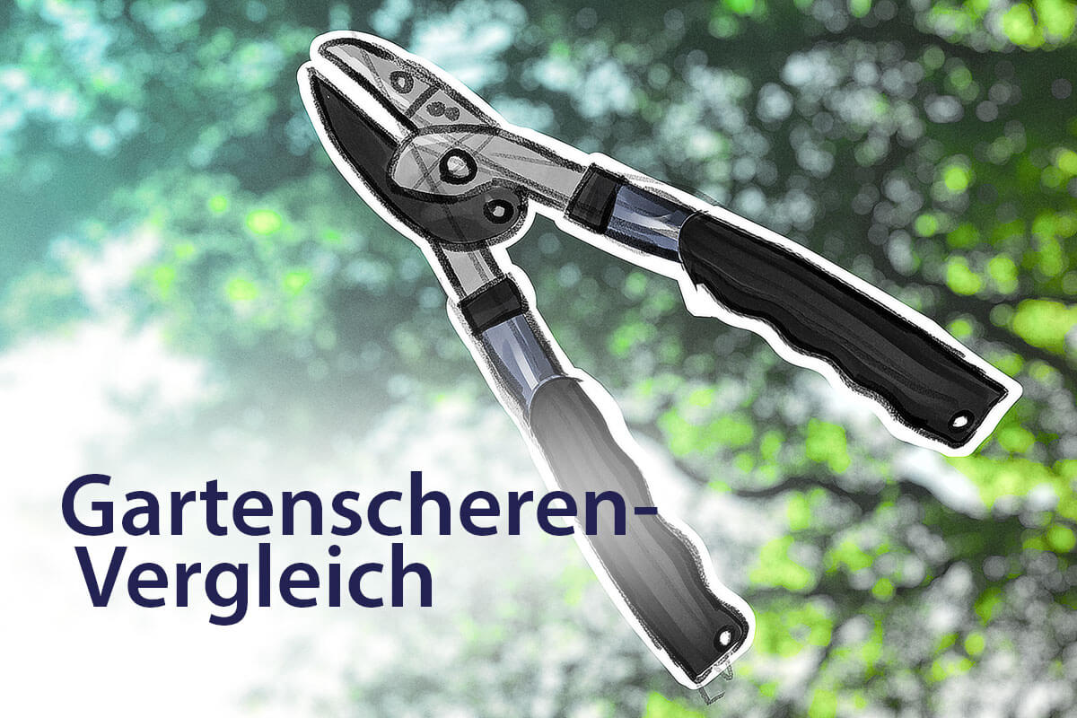 Gartenschere Test & Vergleich 2025 | Netzvergleich